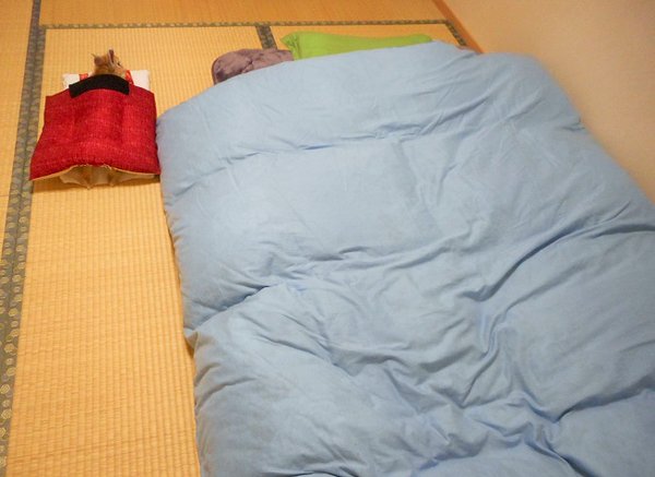 The real My Melody? Twitter user knits tiny hat for kotatsu, futon ...