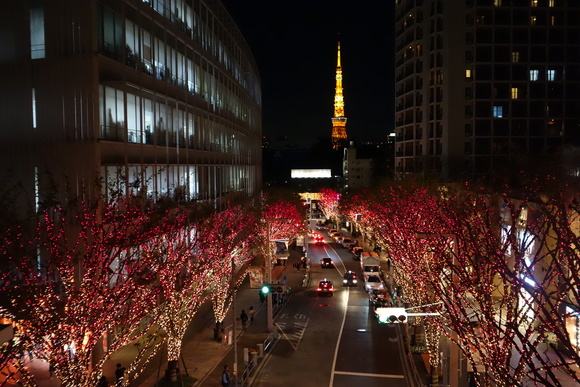 Check out Tokyo’s incredible Christmas illuminations!【Video ...