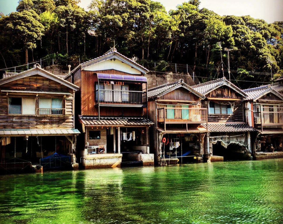 Vietnam’s cutest fishmonger is a swanky cat, drives a hard bargain with ...