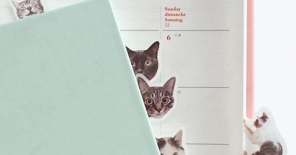 Cute adhesive cat tabs keep your pages marked with adorably playful ...