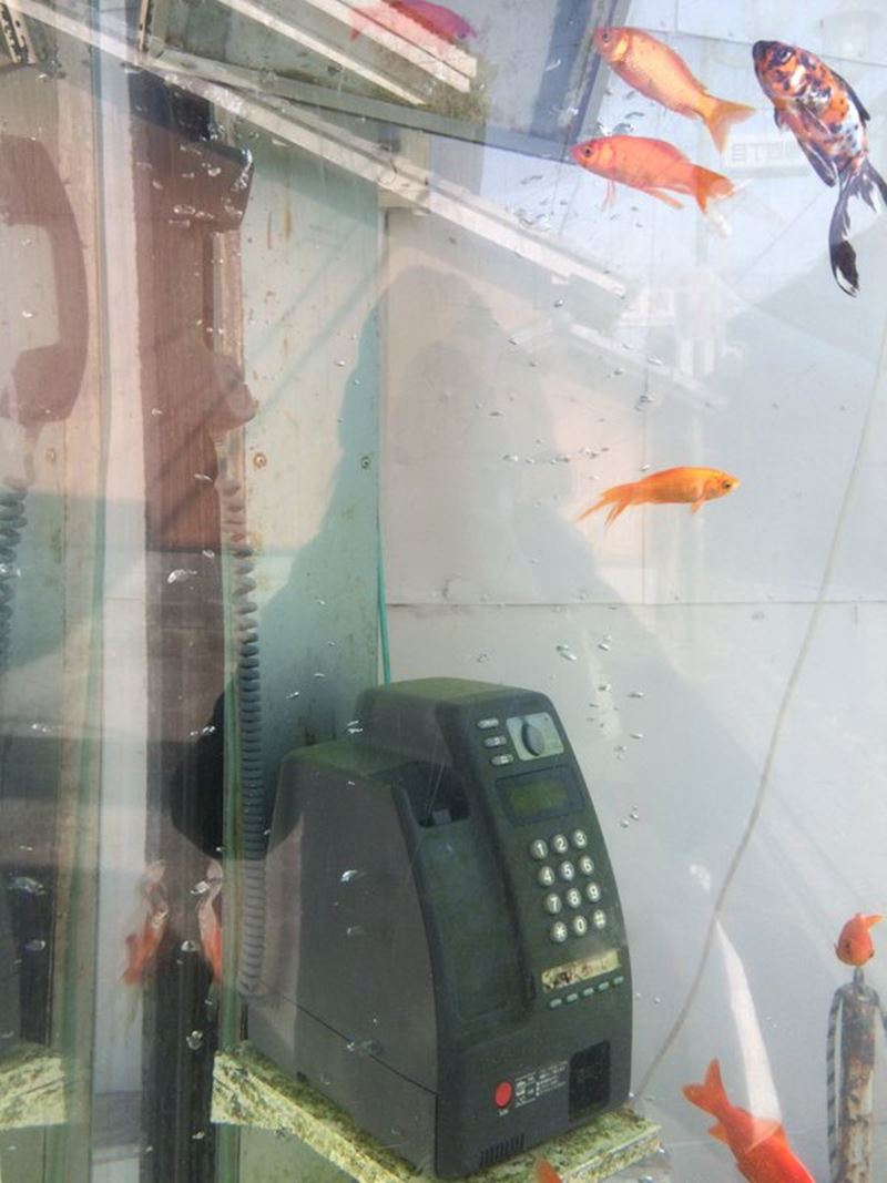 Unusual fish tanks lure visitors to old Japanese shopping district in ...