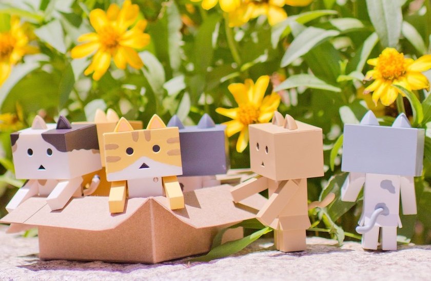 New anime features Nyanbo, the adorable box-shaped cardboard cat ...