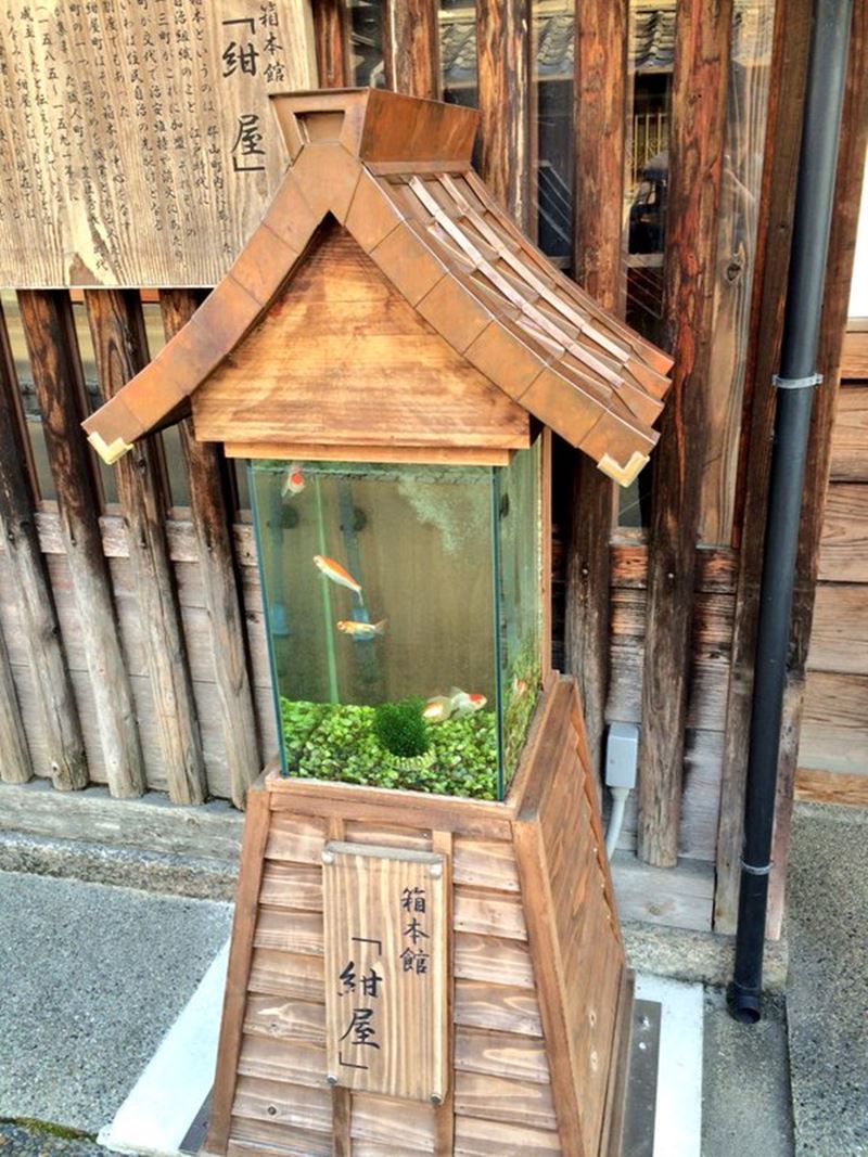 Unusual fish tanks lure visitors to old Japanese shopping district in ...