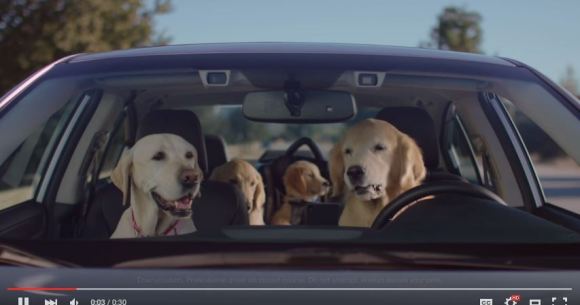 Subaru’s beloved canine family is back in a new and entertaining series ...