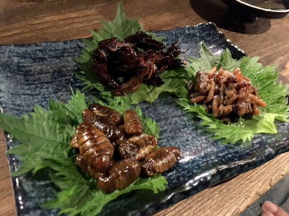 We visit “Rice and Circus,” a restaurant that combines bugs and ...