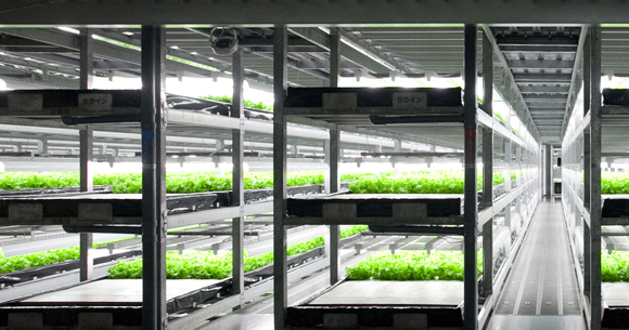 World’s first robot-operated farm to start operations in Japan next ...