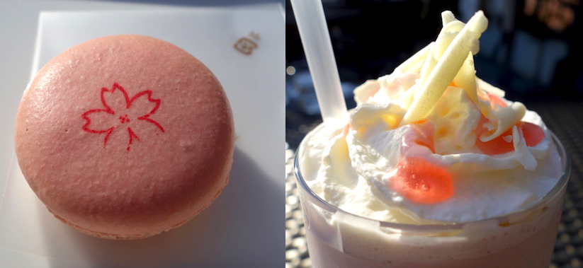 Tag: macarons | SoraNews24 -Japan News-