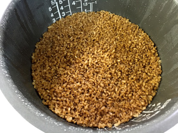 This is what happens when you cook rice with coffee in your rice cooker ...