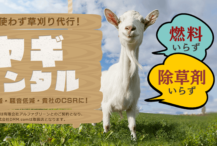 Tag: goats | SoraNews24 —Japan News—