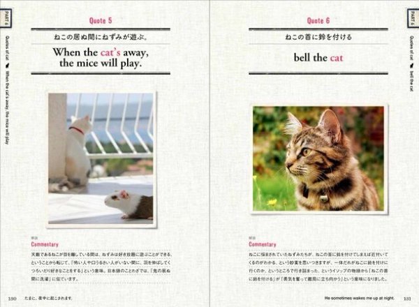 Japanese book “nekotan” teaches foreign language the best way possible ...