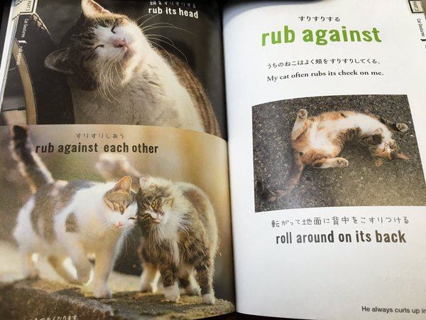 Japanese book “nekotan” teaches foreign language the best way possible ...