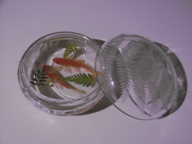 Here’s an important message about macho goldfish from university ...