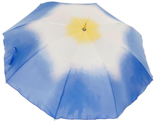 Take cover from April showers with an umbrella that blossoms into a ...
