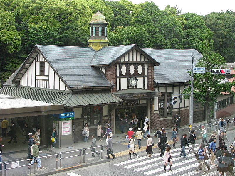 New Japanese train station has no entrance or exit, only used to admire ...