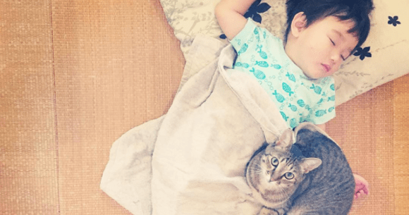 Adorable family of cats and children look out for each other during nap ...