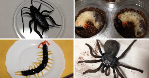 Learn to make realistic-looking, edible insects with these cool ...