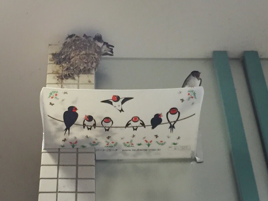 Japanese netizens are abuzz about the way a power company dealt with an ...