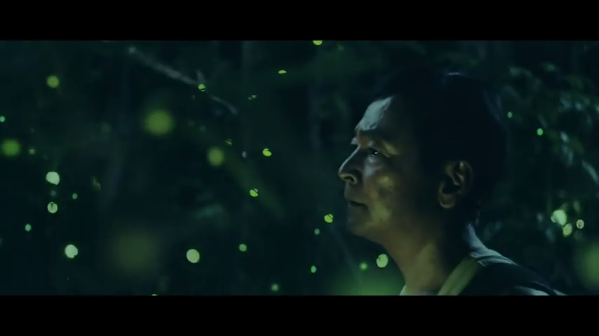 Hilarious commercial of father devoting life to becoming firefly has ...