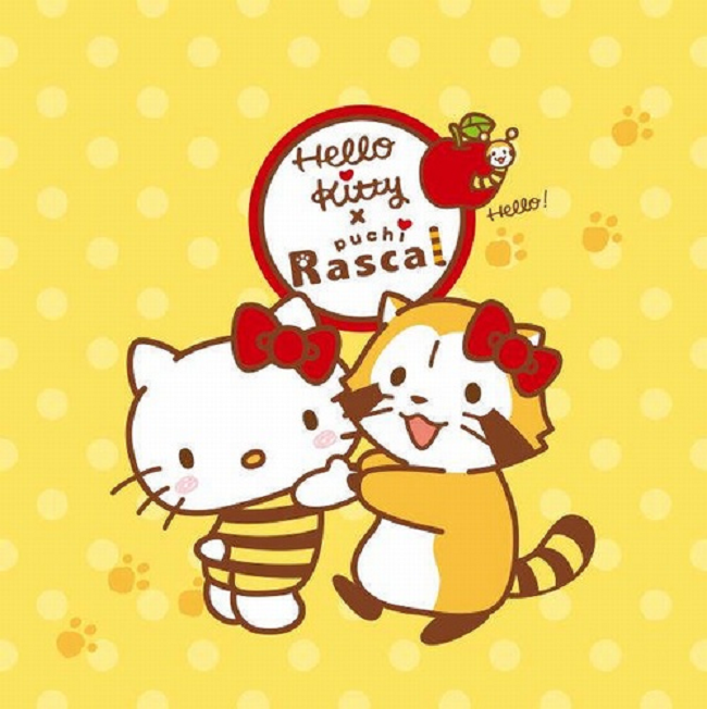 Rascal the Raccoon and Hello Kitty team up for some ridiculously cute ...