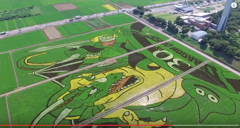 Dragon Quest celebrates anniversary with enormous rice paddy art in ...