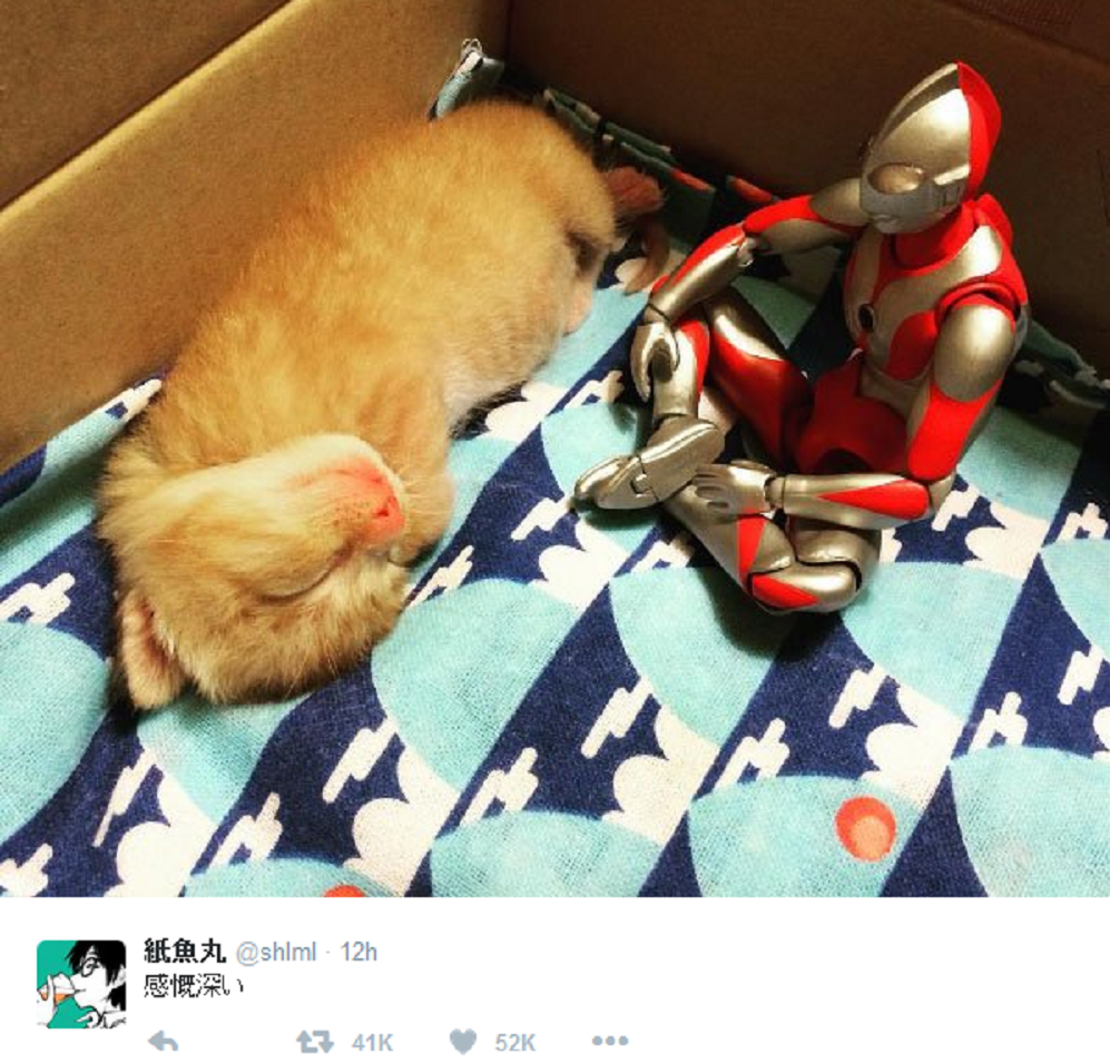 Ultraman pictures prove he protects everyone, humans and furry kitties ...