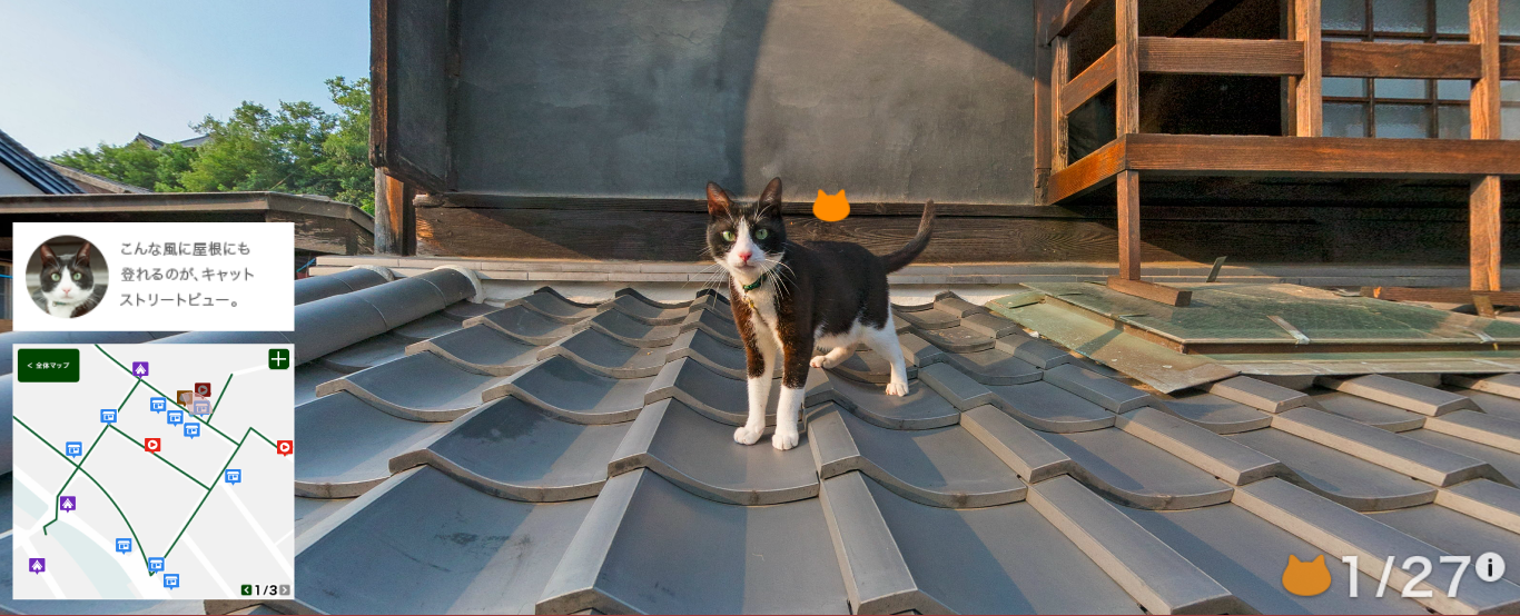 Japan’s Cat Street View is back with another virtual meet-and-greet ...