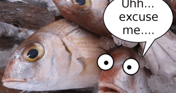 How you know your fish is too fresh: when it comes with a warning “may ...