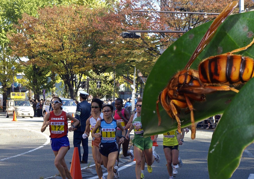 Athletic otaku runs marathon in impressive time while cosplaying as ...