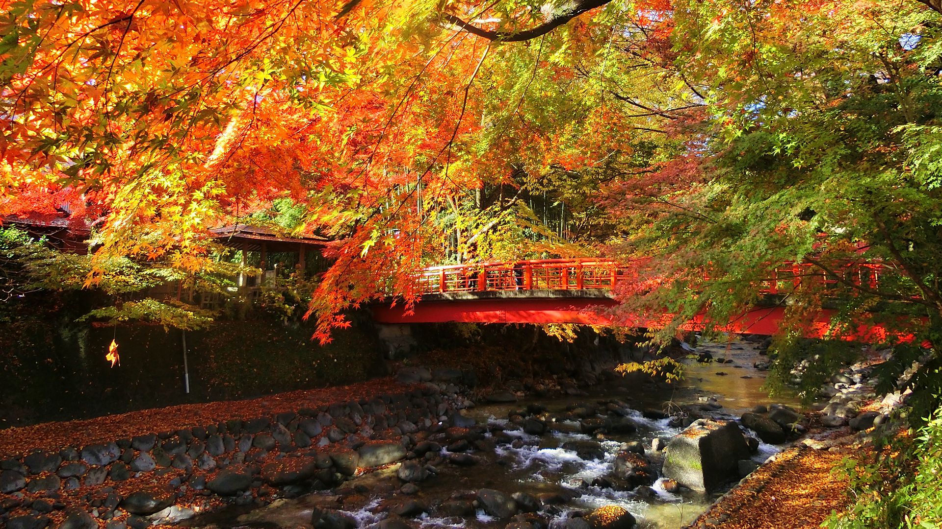 Online image collection’s views of Japan are beautiful to look at, free ...