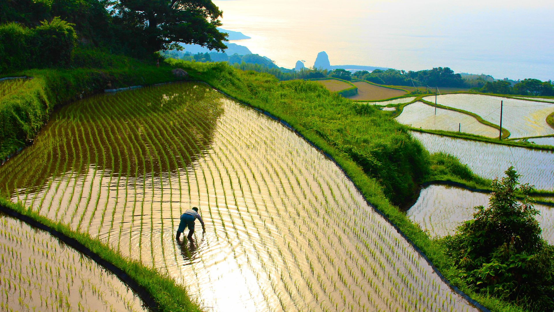 Online image collection’s views of Japan are beautiful to look at, free ...