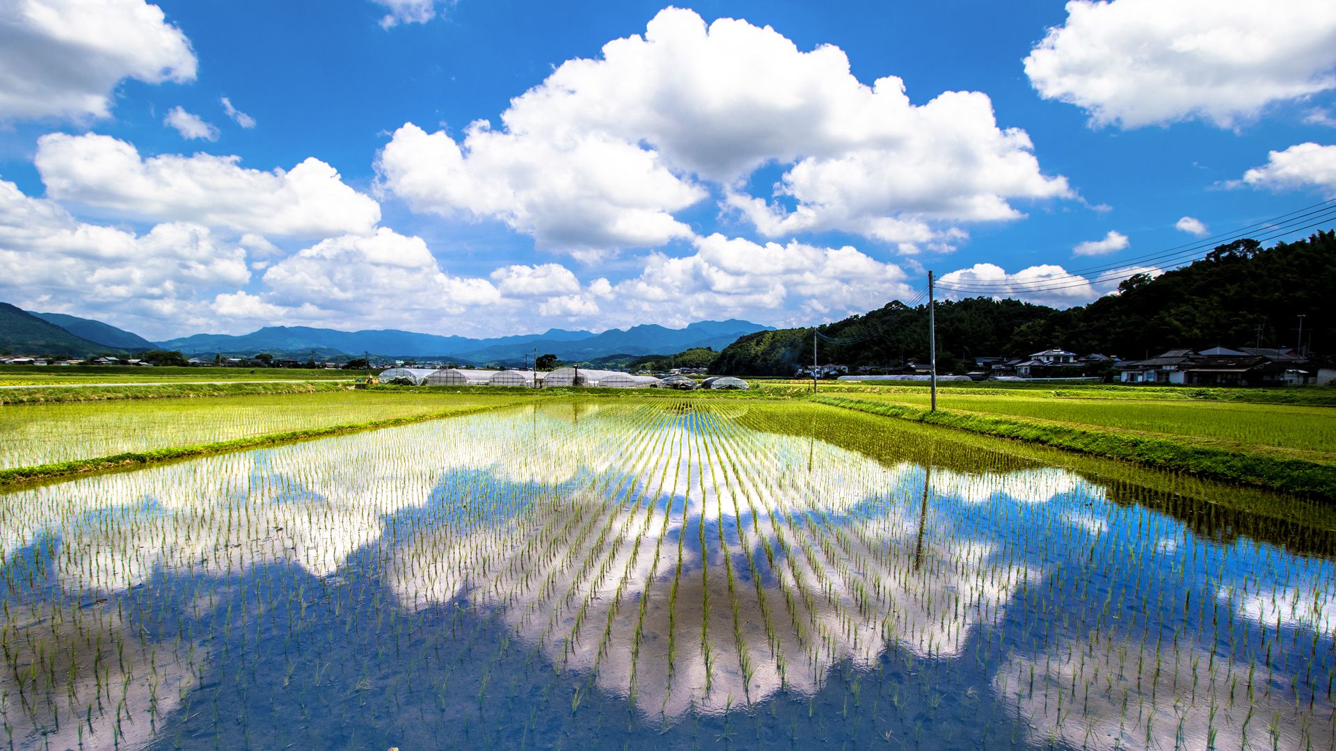 Online image collection’s views of Japan are beautiful to look at, free ...