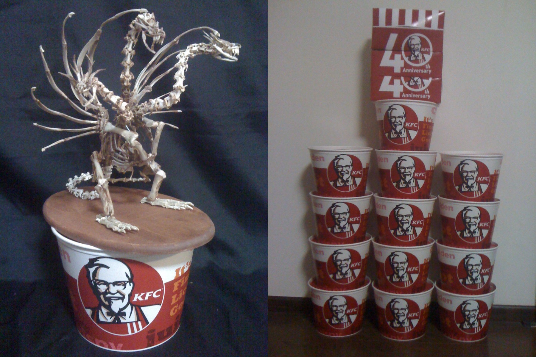 Tag: skeleton | SoraNews24 -Japan News-