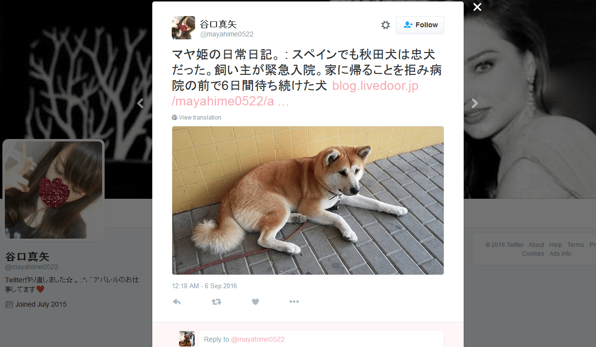 Hachiko, Japan’s most loyal dog, finally reunited with owner in ...
