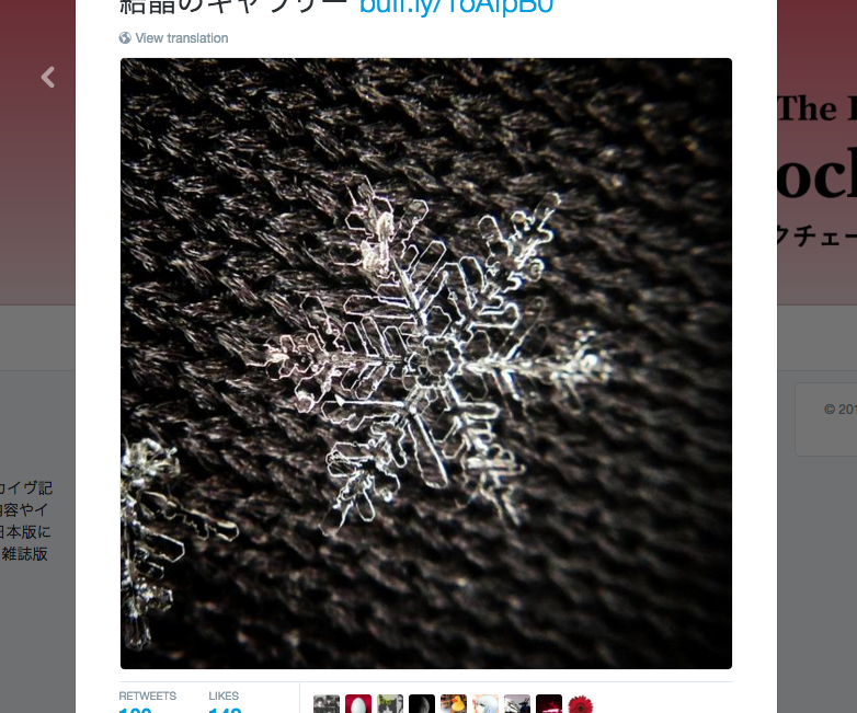Tag: snowflakes | SoraNews24 -Japan News-