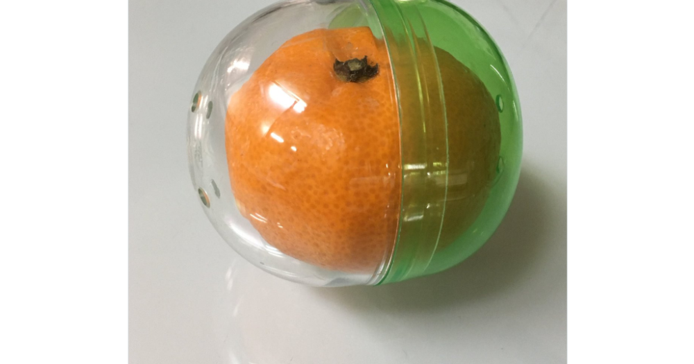 Twitter user finds incredibly clever way to reuse Japanese capsule toy ...