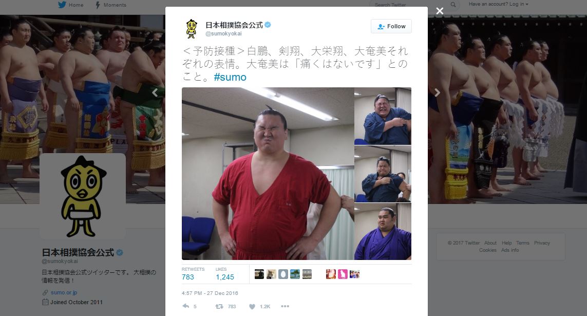 Japan Sumo Association surprises fans with cutesy game on Twitter ...