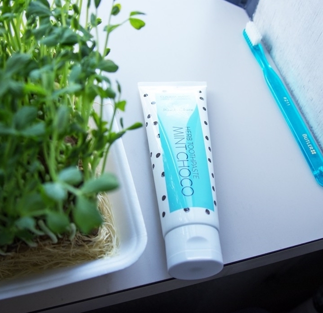 Spice up your dental hygiene — with mint chocolate flavored toothpaste ...