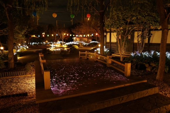 Enjoy the beauty of sakura cherry blossoms at new onsen hanami event in ...