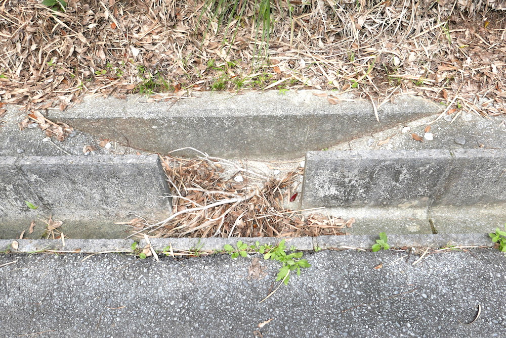 Eight surprising things to do in Northern Okinawa | SoraNews24 -Japan News-