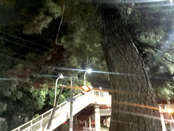 A late-night visit to Japan’s execution site Cursed Pine Tree【Hunted ...