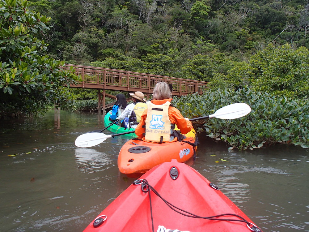 Eight surprising things to do in Northern Okinawa | SoraNews24 -Japan News-