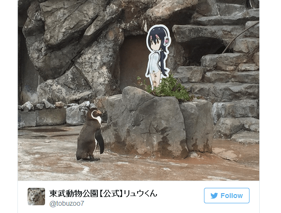 Japan’s anime-loving penguin Grape-kun passes away at Tobu Zoo ...