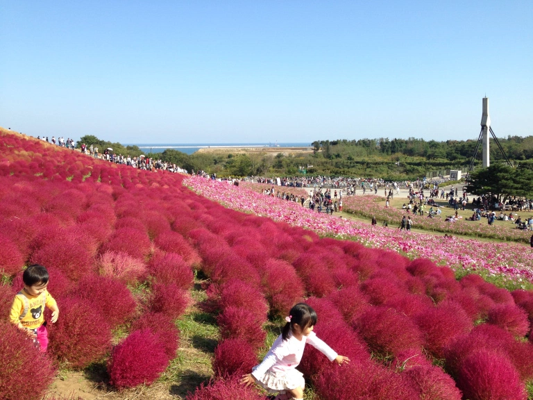 Right now, this amazing Japanese park is bathed in beautiful blue from ...