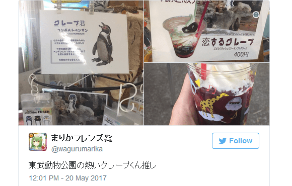 Japan’s anime-loving penguin Grape-kun passes away at Tobu Zoo ...