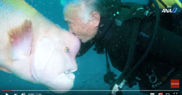 25-year bond between man and fish in Chiba touches the world【Video ...