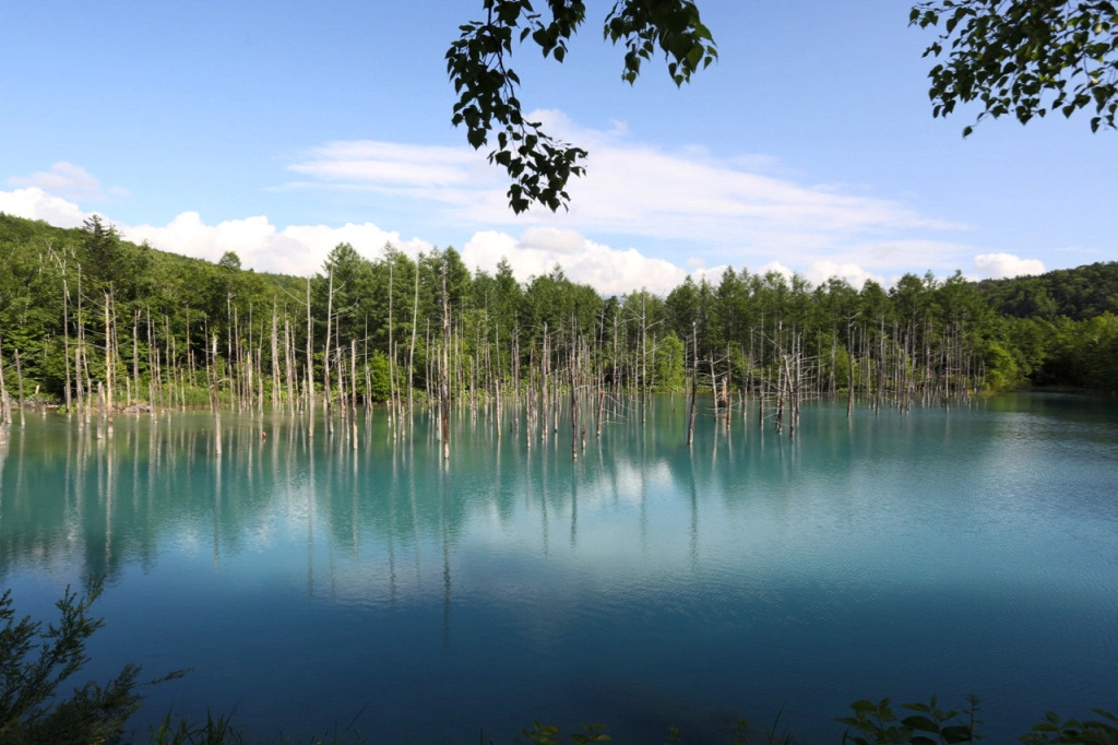 Hokkaido’s breathtaking Blue Pond is exactly as advertised【Photos ...