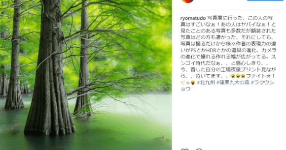 Beautiful forest in southern Japan will spirit you away to another ...