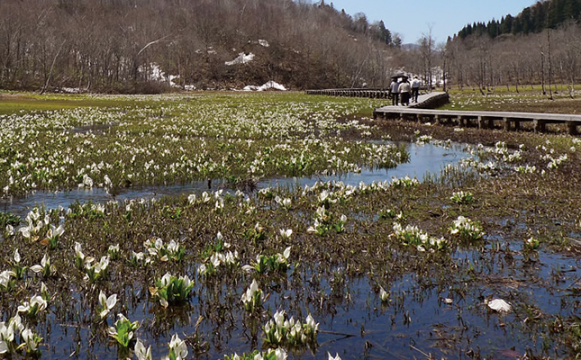 Real-life location of Your Name’s anime-only lake discovered, still ...