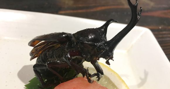 We straight-up eat a beetle at possibly Japan’s craziest restaurant ...