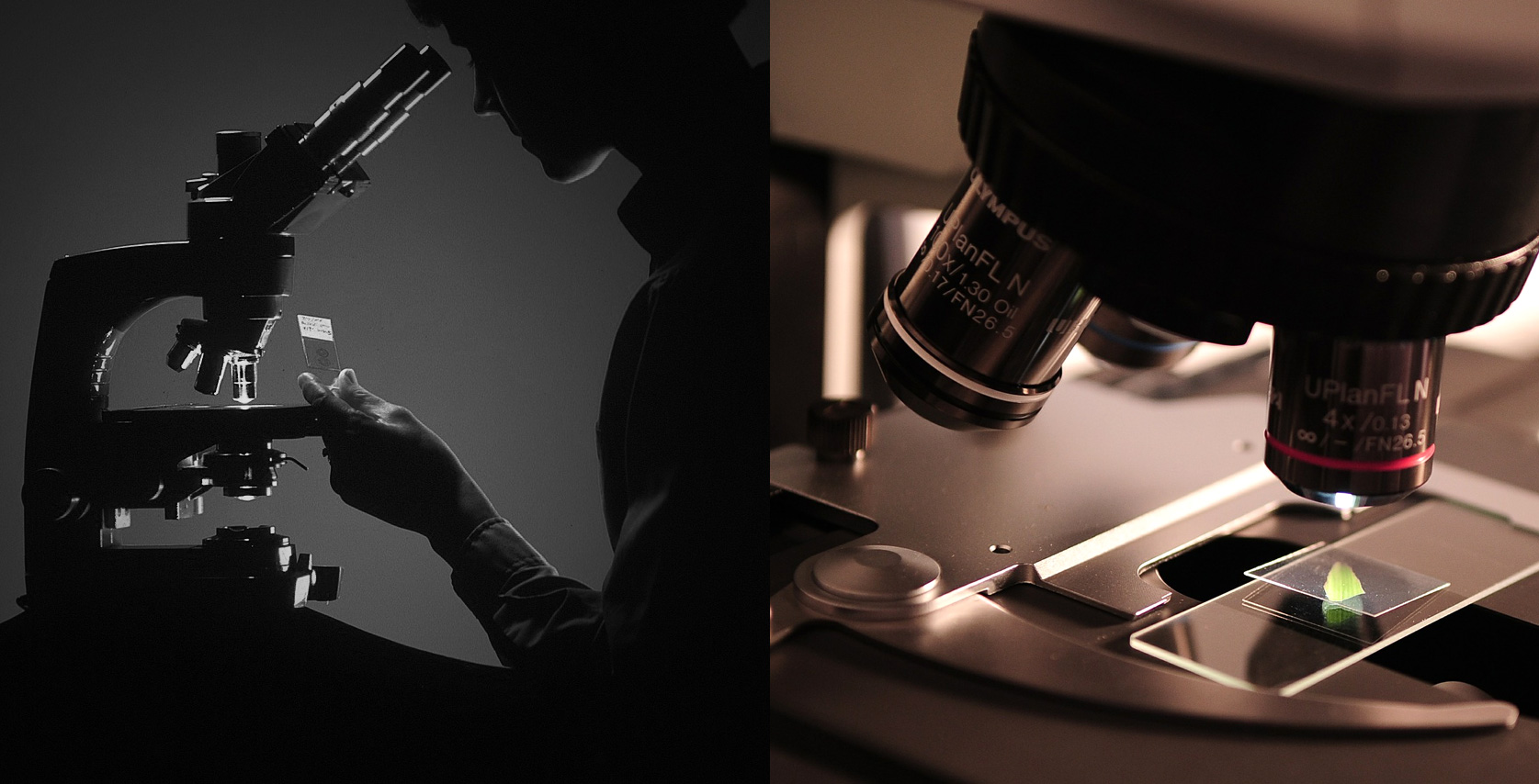 Japan’s “All-Alone Tent” lets you cheaply, easily set up a secret ...